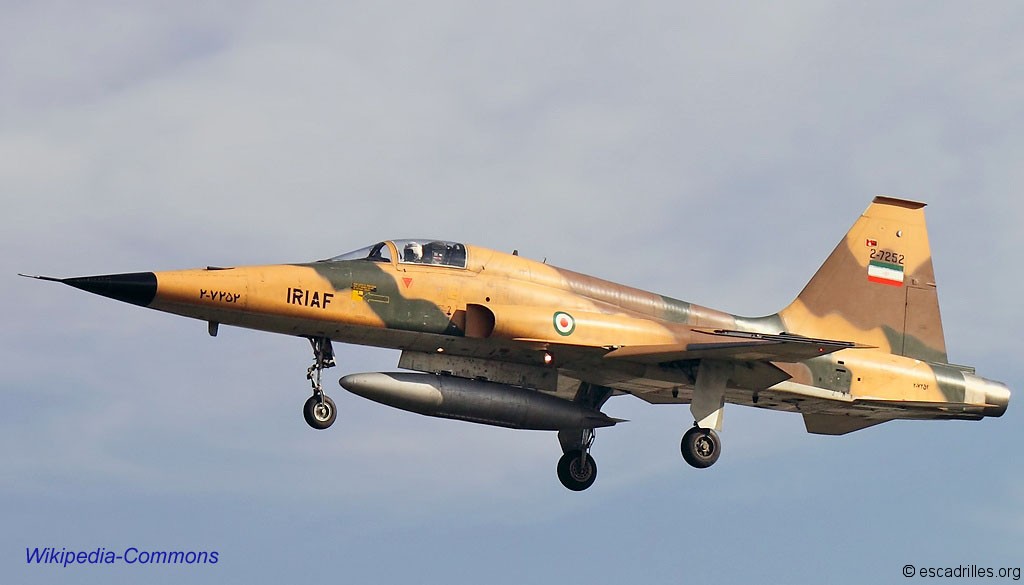 Northrop F-5E/F - Escadrilles